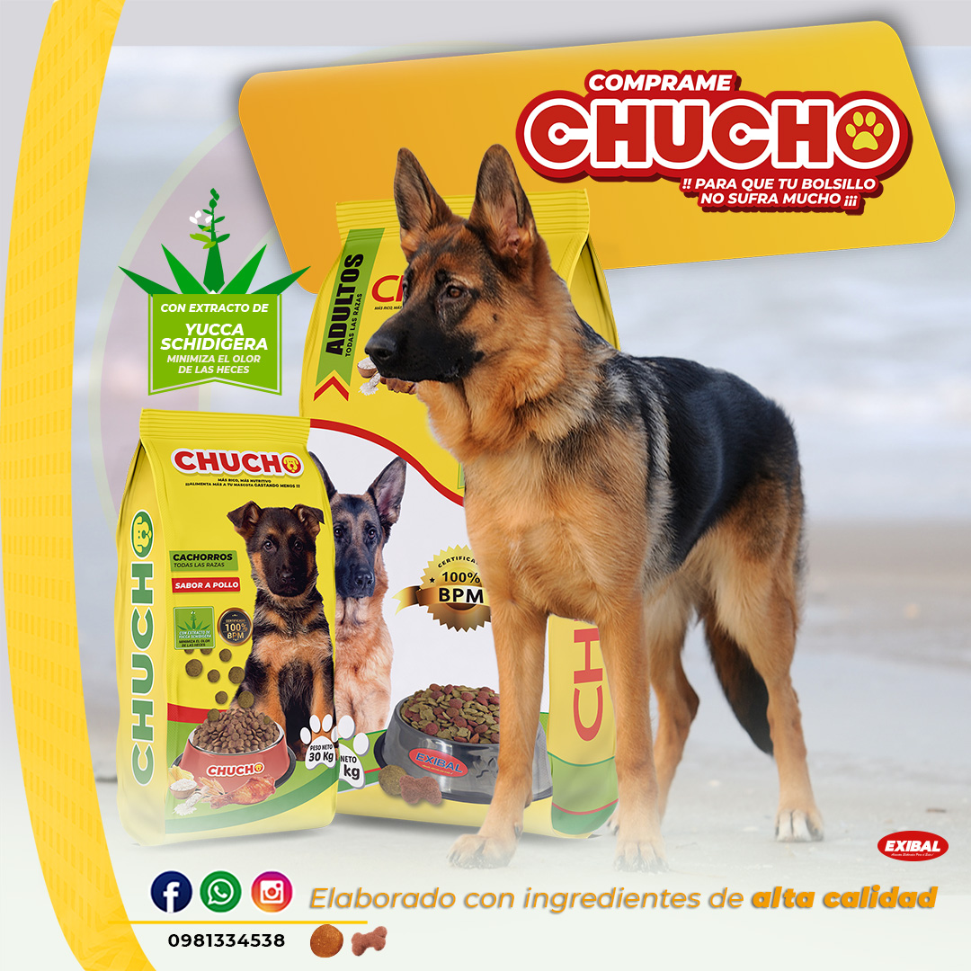 Chucho adulto y cachorro Todas las razas - CROKETOON
